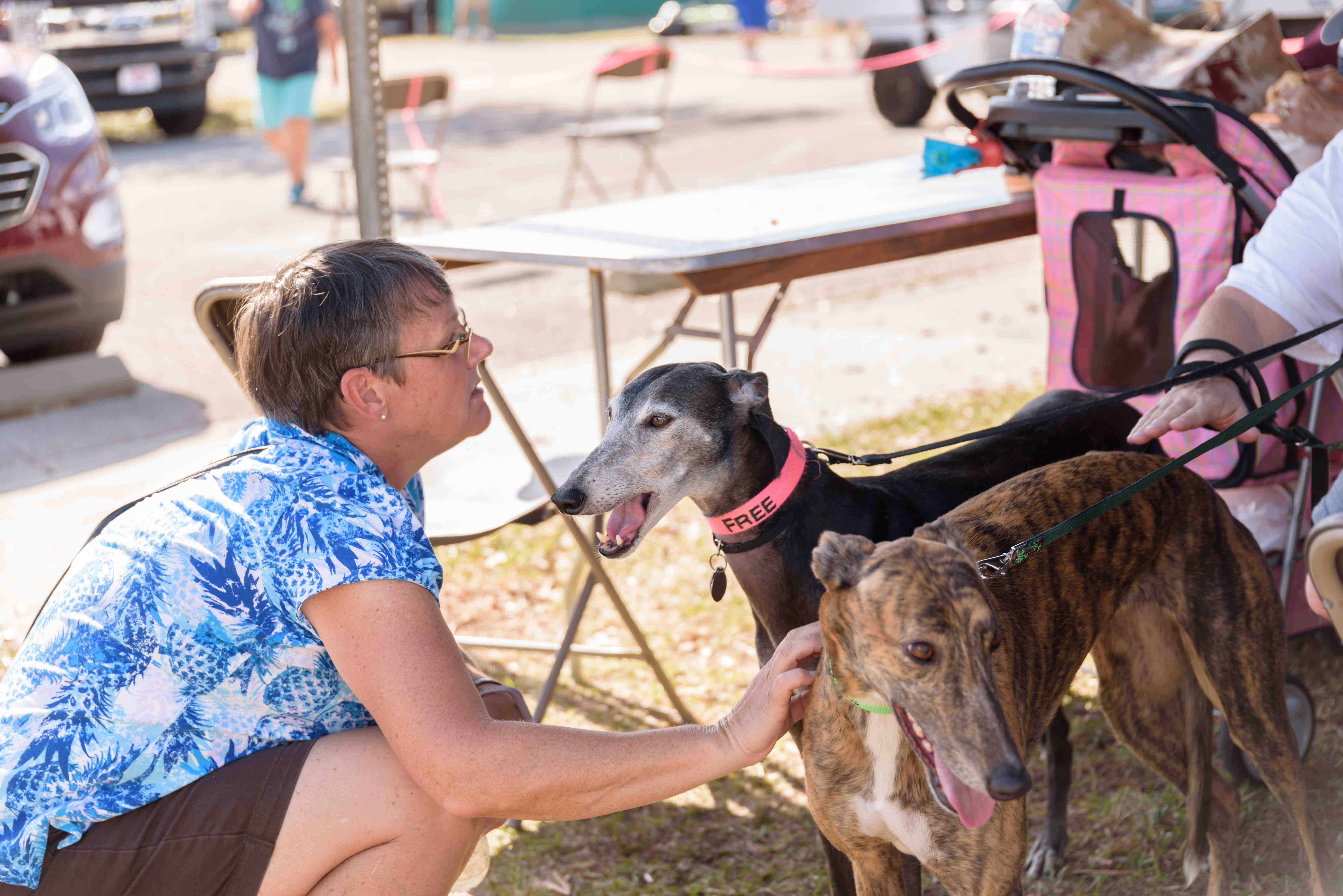 Lutz Arts-Crafts CH 26-Cathy Whitehead, Free and Rini-26