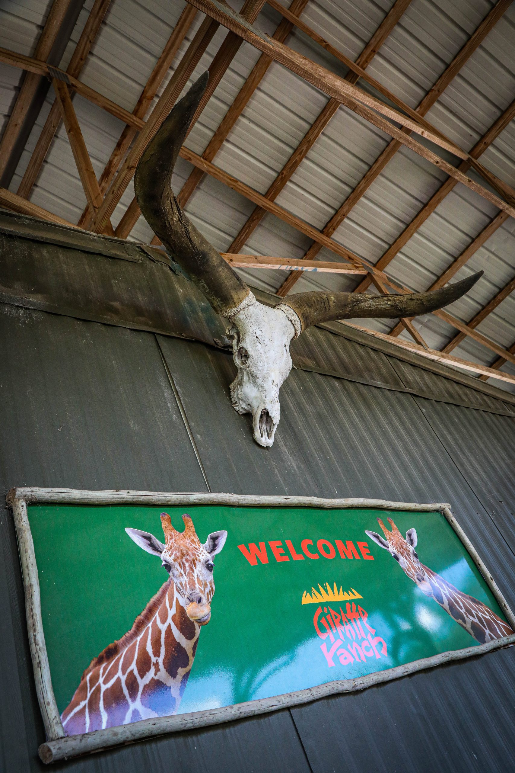 ranch_26