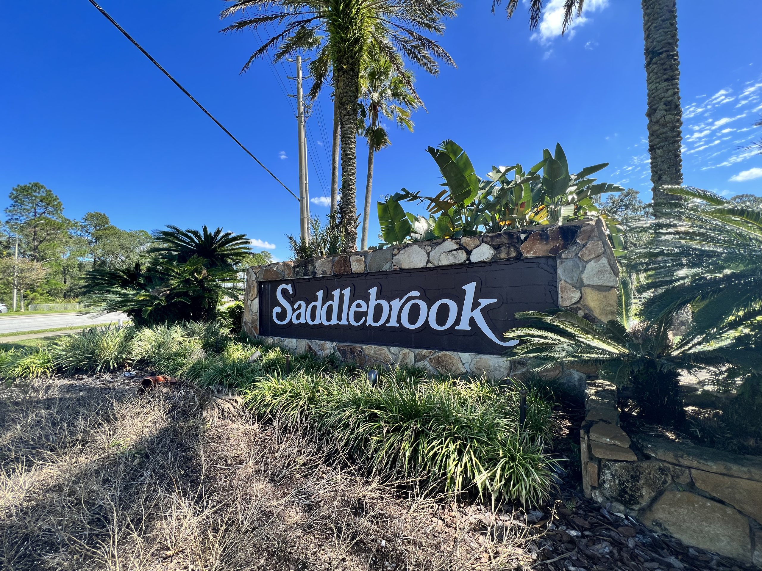 Saddlebrook_1